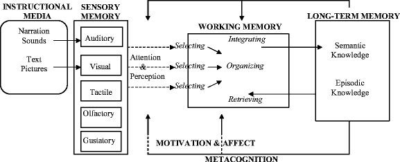 Interactive Multimodal Learning Environments | SpringerLink