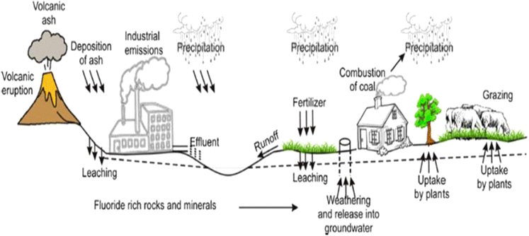 A review of global outlook on fluoride contamination in groundwater ...
