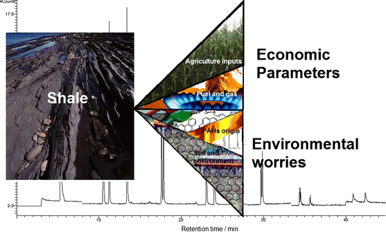 Evaluation of PAH contamination in soil treated with solid by-products ...