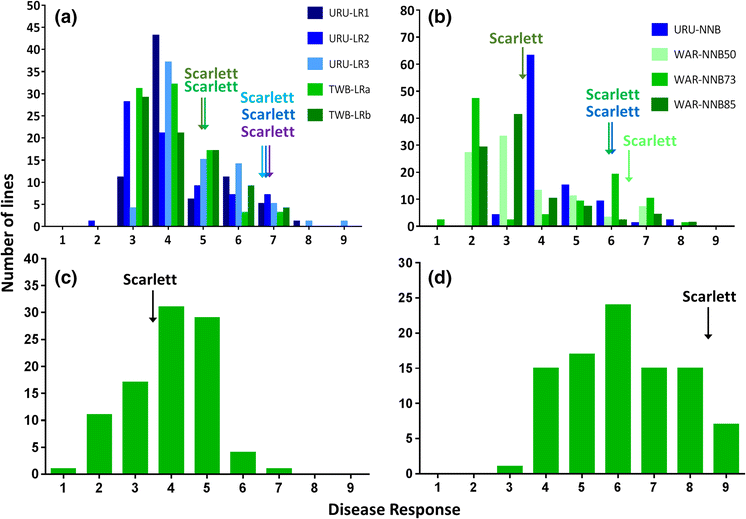 Speed breeding for multiple disease resistance in barley | SpringerLink