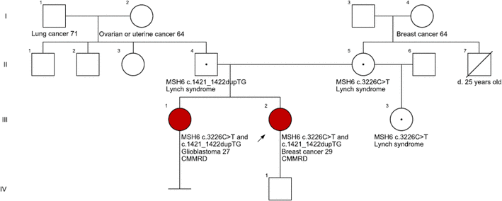 Delineating a new feature of constitutional mismatch repair deficiency ...