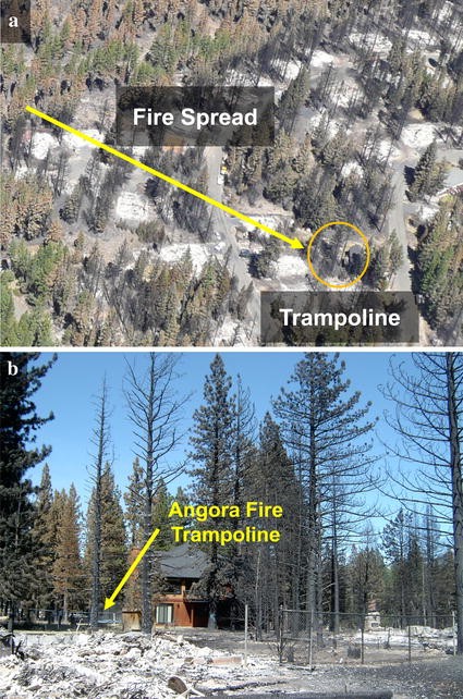 Characterizing Firebrand Exposure from Wildland–Urban Interface (WUI ...
