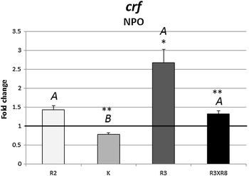 Activity of the hypothalamus–pituitary–interrenal axis (HPI axis) and ...