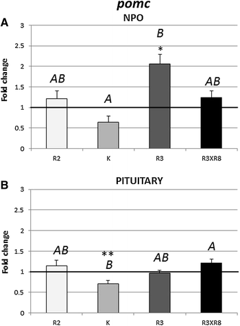 Activity of the hypothalamus–pituitary–interrenal axis (HPI axis) and ...