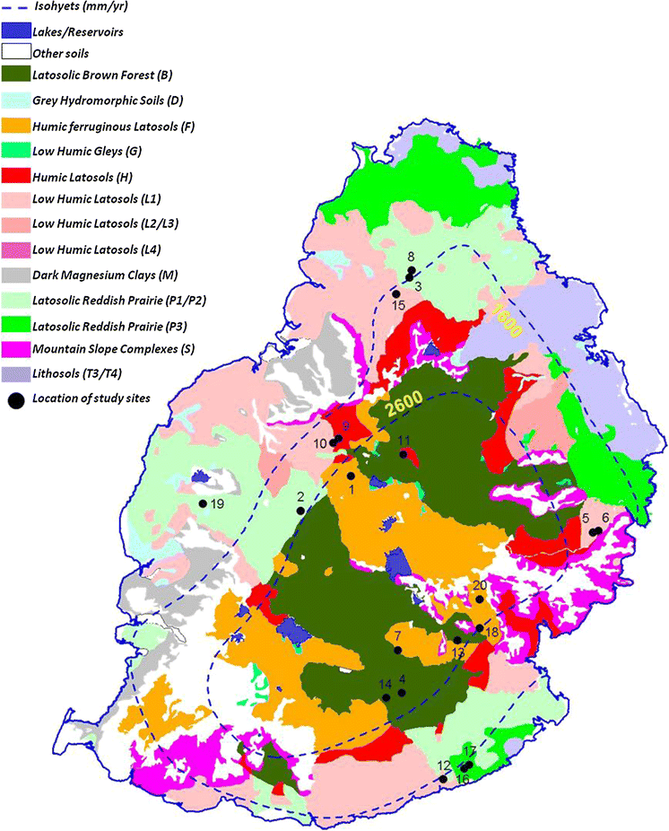 Phosphorus mobilization from sugarcane soils in the tropical ...