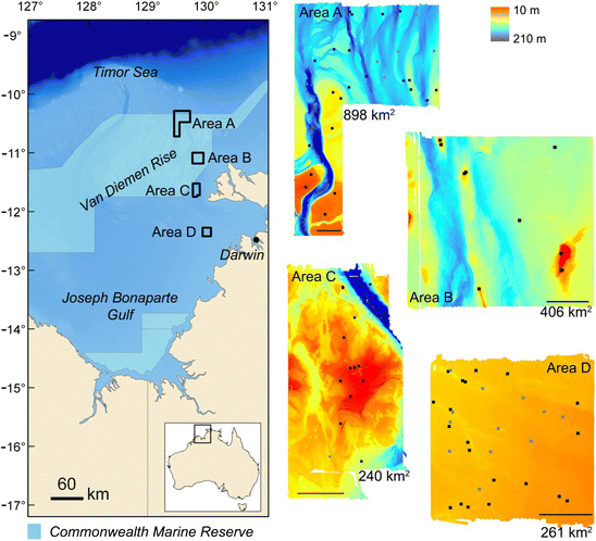 Sponge biodiversity and ecology of the Van Diemen Rise and eastern ...