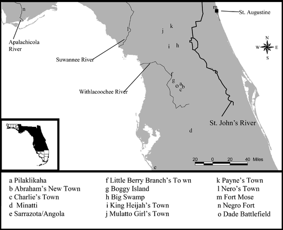 The Role of Ethnogenesis and Organization in the Development of African ...
