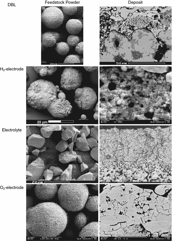 High temperature water electrolysis using metal supported solid oxide ...
