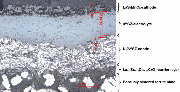 High temperature water electrolysis using metal supported solid oxide ...