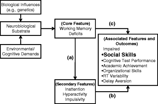 Working Memory Deficits and Social Problems in Children with ADHD ...