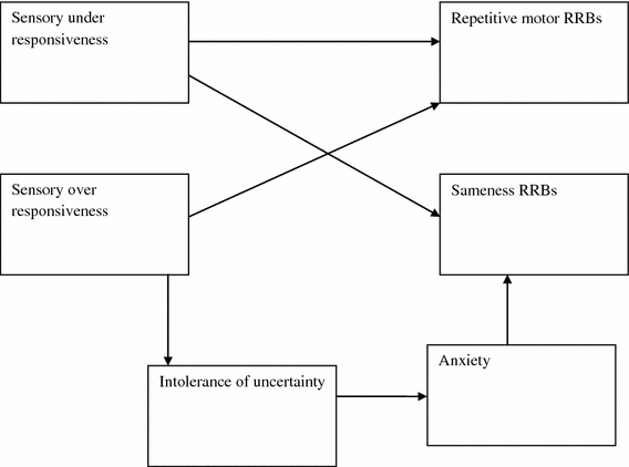 The Interplay Between Sensory Processing Abnormalities, Intolerance of ...