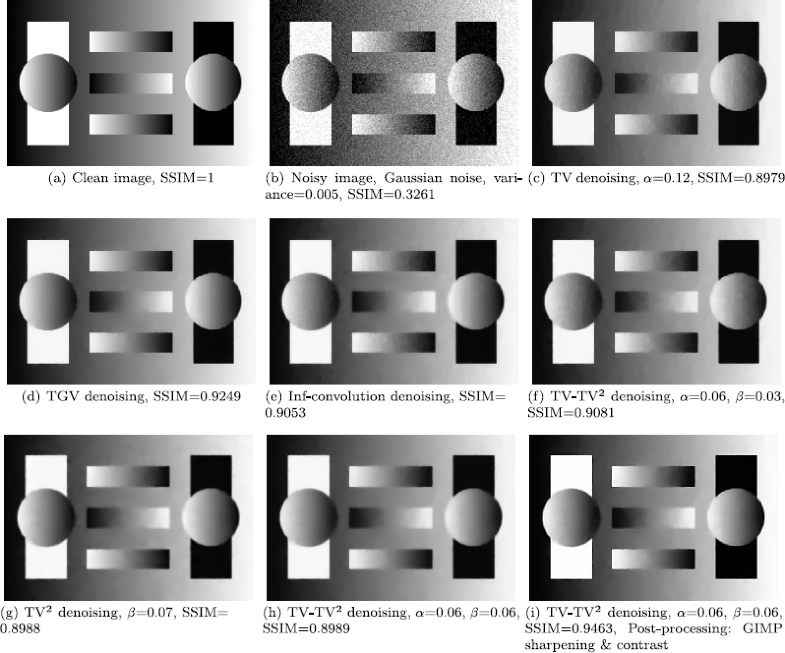 A Combined First and Second Order Variational Approach for Image Reconstruction | SpringerLink