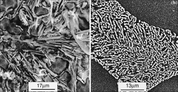 Modification of eutectic silicon in Al–Si alloys | SpringerLink