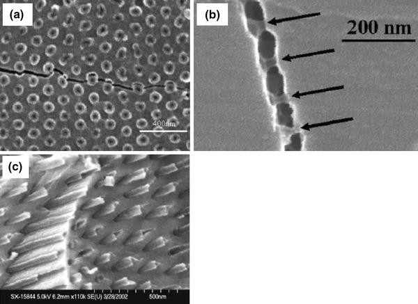 Ceramic matrix composites containing carbon nanotubes | SpringerLink