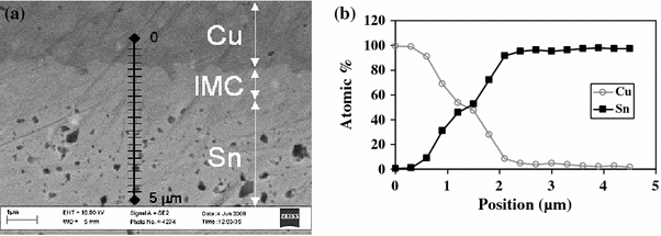 AFM indentation method used for elastic modulus characterization of ...