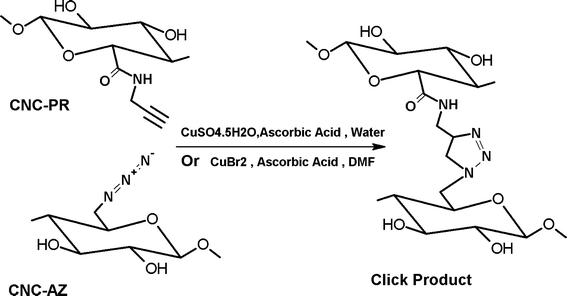Production of cellulose nanocrystals using hydrobromic acid and click ...