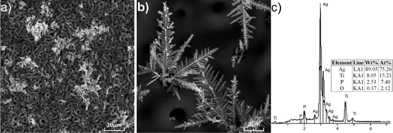 In vitro biocompatibility of anodized titanium with deposited silver ...