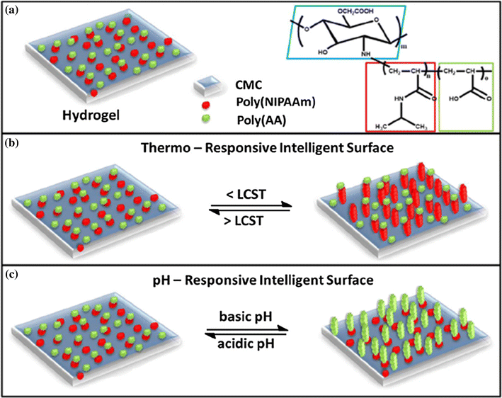 Biomedical applications of acrylic-based nanohydrogels | SpringerLink