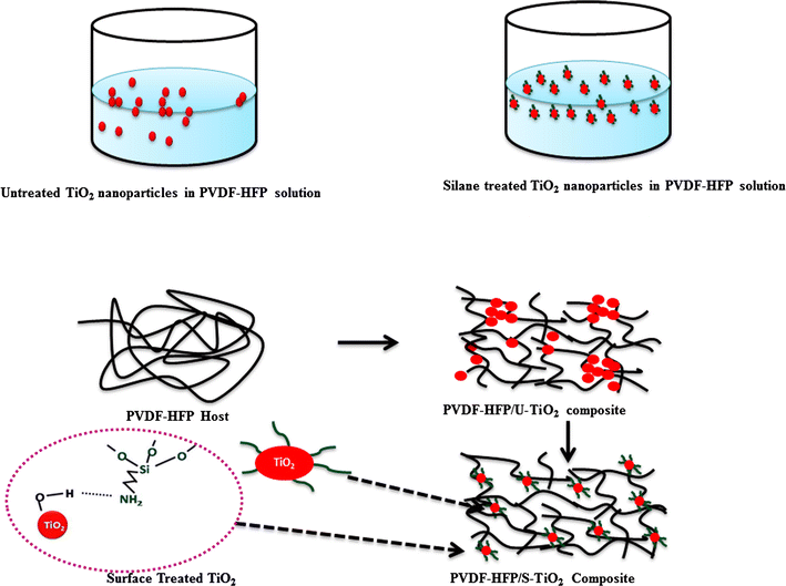 Influence of surface modified TiO2 nanoparticles on dielectric ...