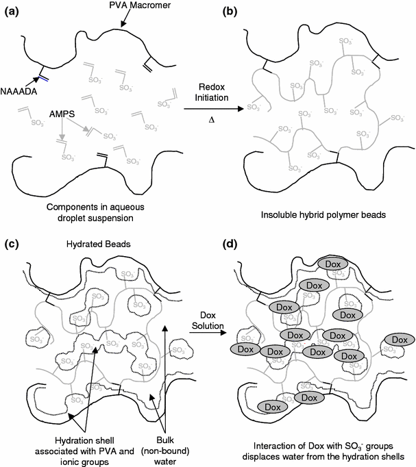Doxorubicin eluting beads − 1: Effects of drug loading on bead ...