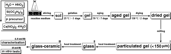 The influence of phosphorus precursors on the synthesis and bioactivity of SiO2–CaO–P2O5 sol–gel ...