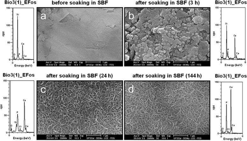 The influence of phosphorus precursors on the synthesis and bioactivity of SiO2–CaO–P2O5 sol–gel ...