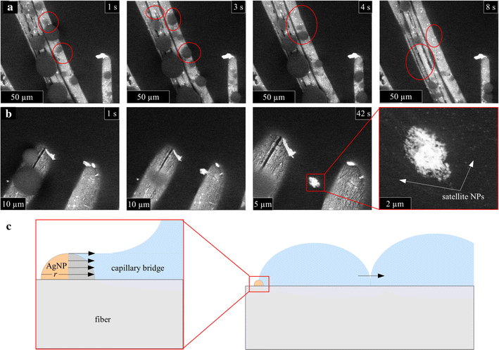 Dynamics of silver nanoparticle release from wound dressings revealed ...