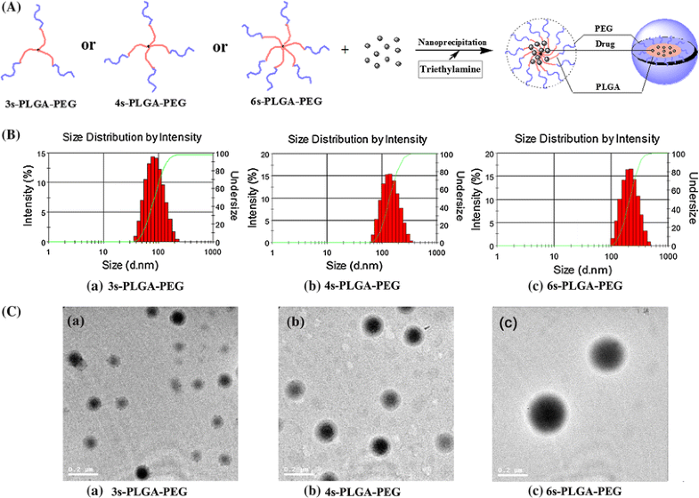 Doxorubicin-loaded micelles based on multiarm star-shaped PLGA–PEG ...