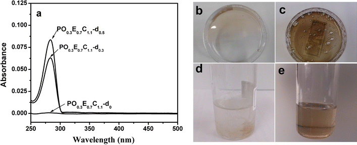 Mussel-inspired soft-tissue adhesive based on poly(diol citrate) with ...
