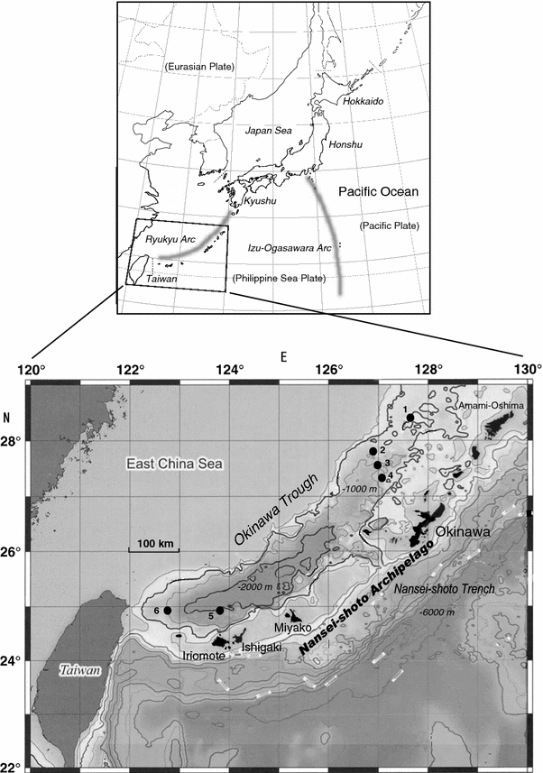 Spatial structures of hydrothermal vents and vent-associated megafauna ...