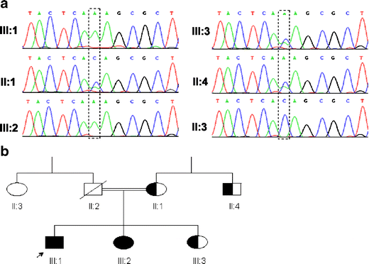 Novel Mutations in TACI ( TNFRSF13B) Causing Common Variable ...