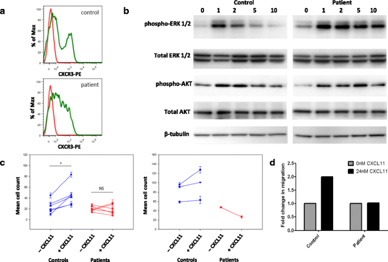 Defective Leukocyte Adhesion and Chemotaxis Contributes to Combined ...