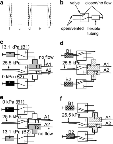 Increasing Signal-to-Noise Ratio in Gas Chromatography ...
