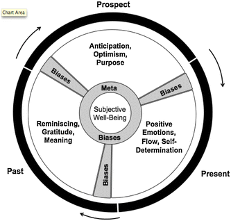 The 3P Model: A General Theory of Subjective Well-Being | SpringerLink