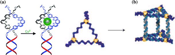 Interactions of Metal Ions with DNA and Some Applications | SpringerLink