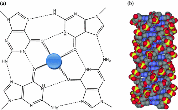 Interactions of Metal Ions with DNA and Some Applications | SpringerLink