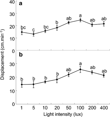 Phototactic Behavior of Scleroderma guani (Hymenoptera: Bethylidae ...