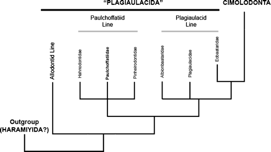 Occlusal Pattern in Paulchoffatiid Multituberculates and the Evolution ...