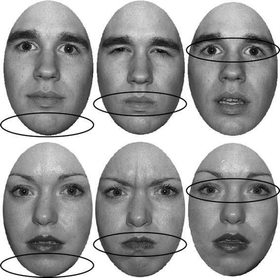 Look Me in the Eye: Manipulated Eye Gaze Affects Dominance Mindsets ...