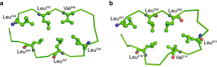 Super Secondary Structure Consisting of a Polyproline II Helix and a β ...