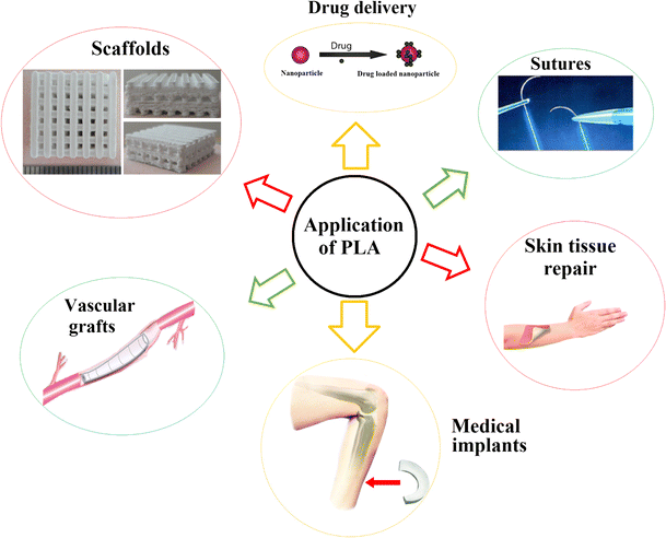 Biodegradable poly(lactic acid)-based scaffolds: synthesis and ...