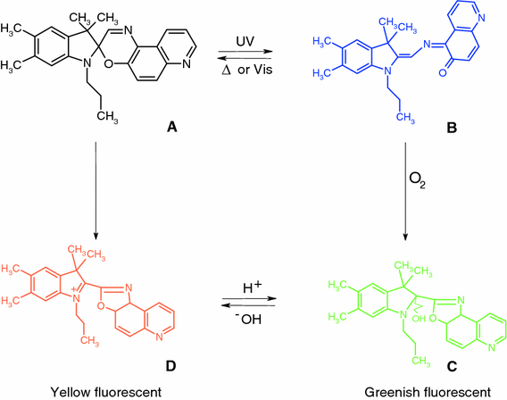 Stability against photodegradation of a photochromic spirooxazine dye ...