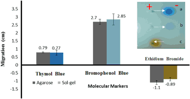Modified sol–gel processed silica matrix for gel electrophoresis applications | SpringerLink