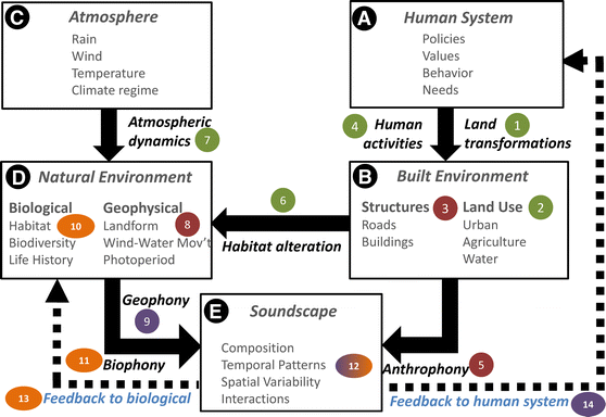 What is soundscape ecology? An introduction and overview of an emerging ...