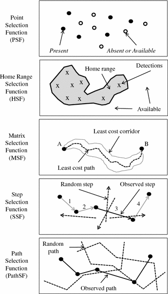Estimating landscape resistance to movement: a review | SpringerLink