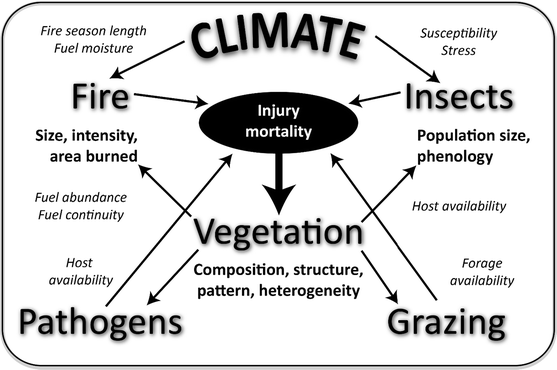 Interactions of landscape disturbances and climate change dictate ...