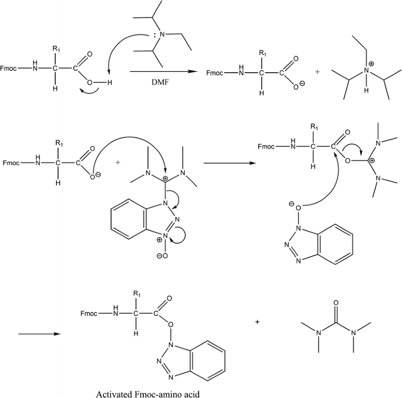 Some Mechanistic Aspects on Fmoc Solid Phase Peptide Synthesis ...