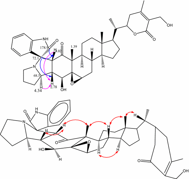 Chemistry of withaferin-A: chemo, regio, and stereoselective synthesis ...