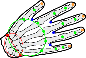 Hand landmarks detection and localization in color images | SpringerLink