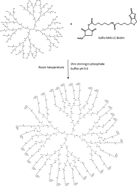 Bioapplications of poly(amidoamine) (PAMAM) dendrimers in nanomedicine ...